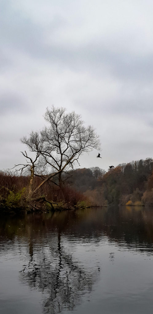 Unsere erste Tour auf der Sieg › E-tumleHs Farbklecks im Web